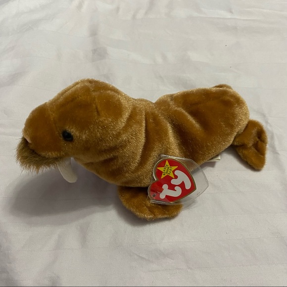 Ty | Toys | Paul The Walrus Ty Beanie Baby | Poshmark